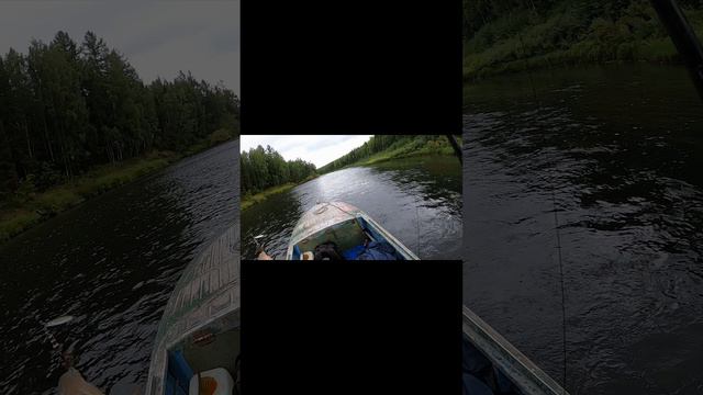 ооо какой большой