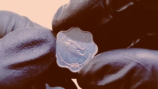 Монеты стран мира № 29. Монеты Мальдив и Монголии.