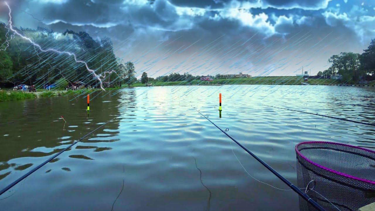 Ловля осетра на поплавок. Рыбалка в дождь летом.