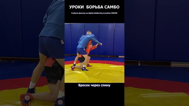 Уроки борьбы самбо на digital.wildberries