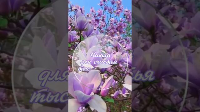 Нашла для счастья тысячу причин