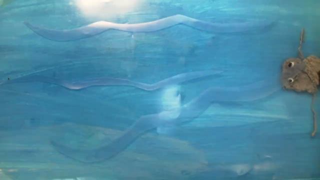 Сказ о Петре