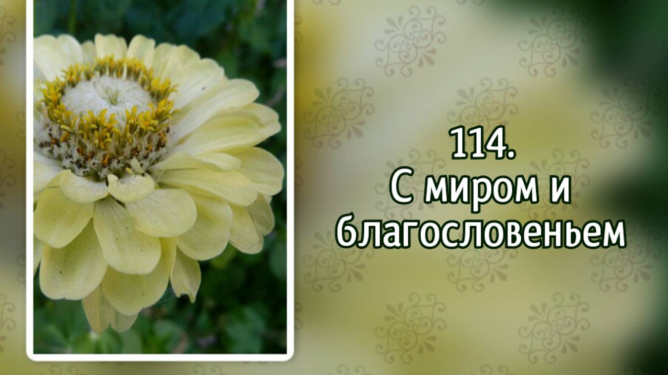 Гимны надежды 114 С миром и благословеньем (-)
