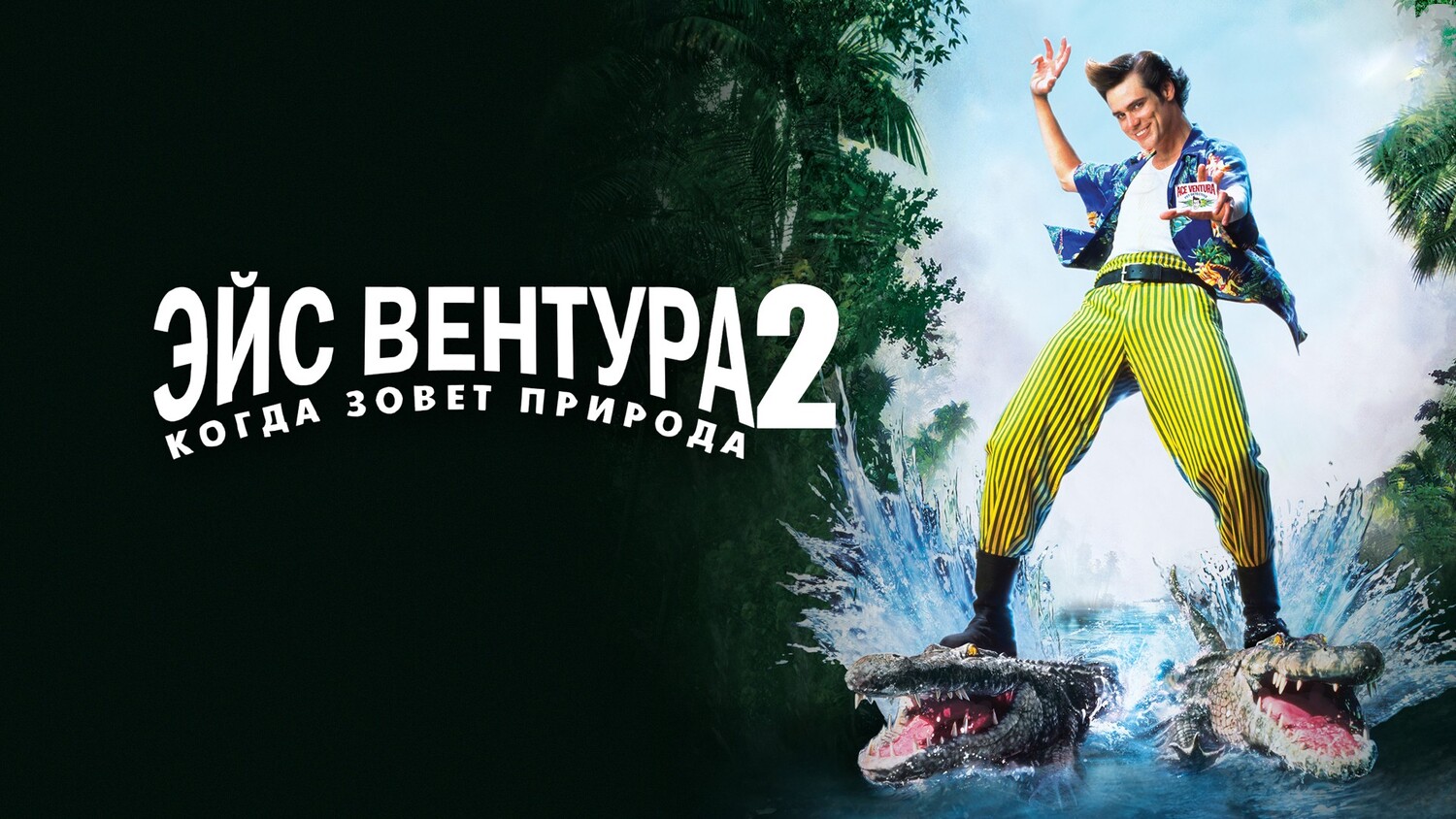 Эйс Вентура 2: Когда зовет природа (фильм, 1995)