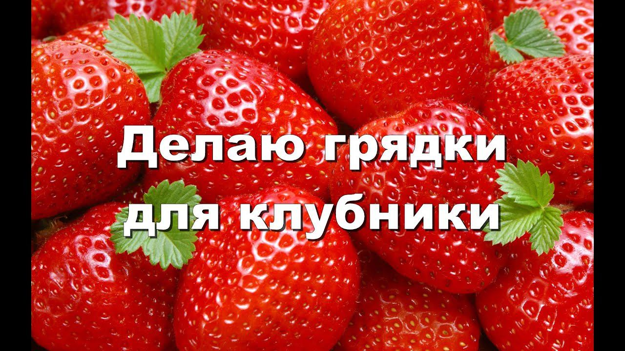 Делаю грядки для клубники