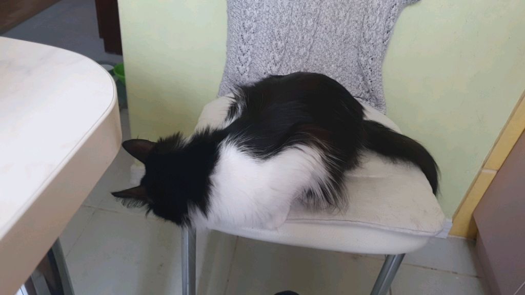 А зачем тебе учиться?