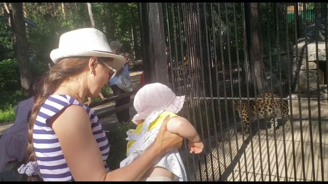 Первое путешествие с Варенькой в ЗООПАРК! Новосибирск, 5 июля 2023 года.