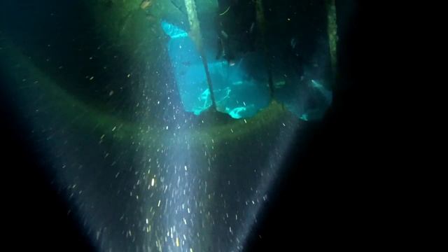 SCUBAclass поездка в Египет