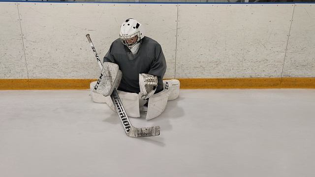 Имитация отбивания шайбы щитками