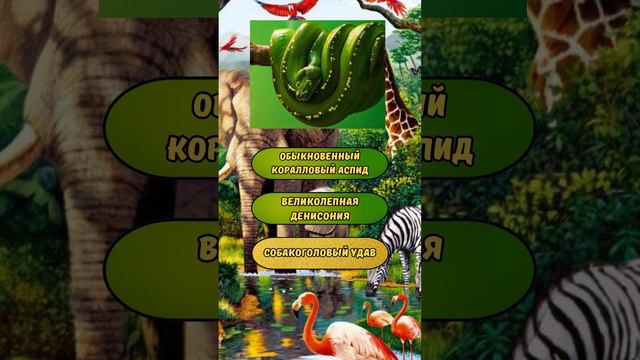 Короткая викторина "Угадай животное по фото" №5 / Тест на эрудицию