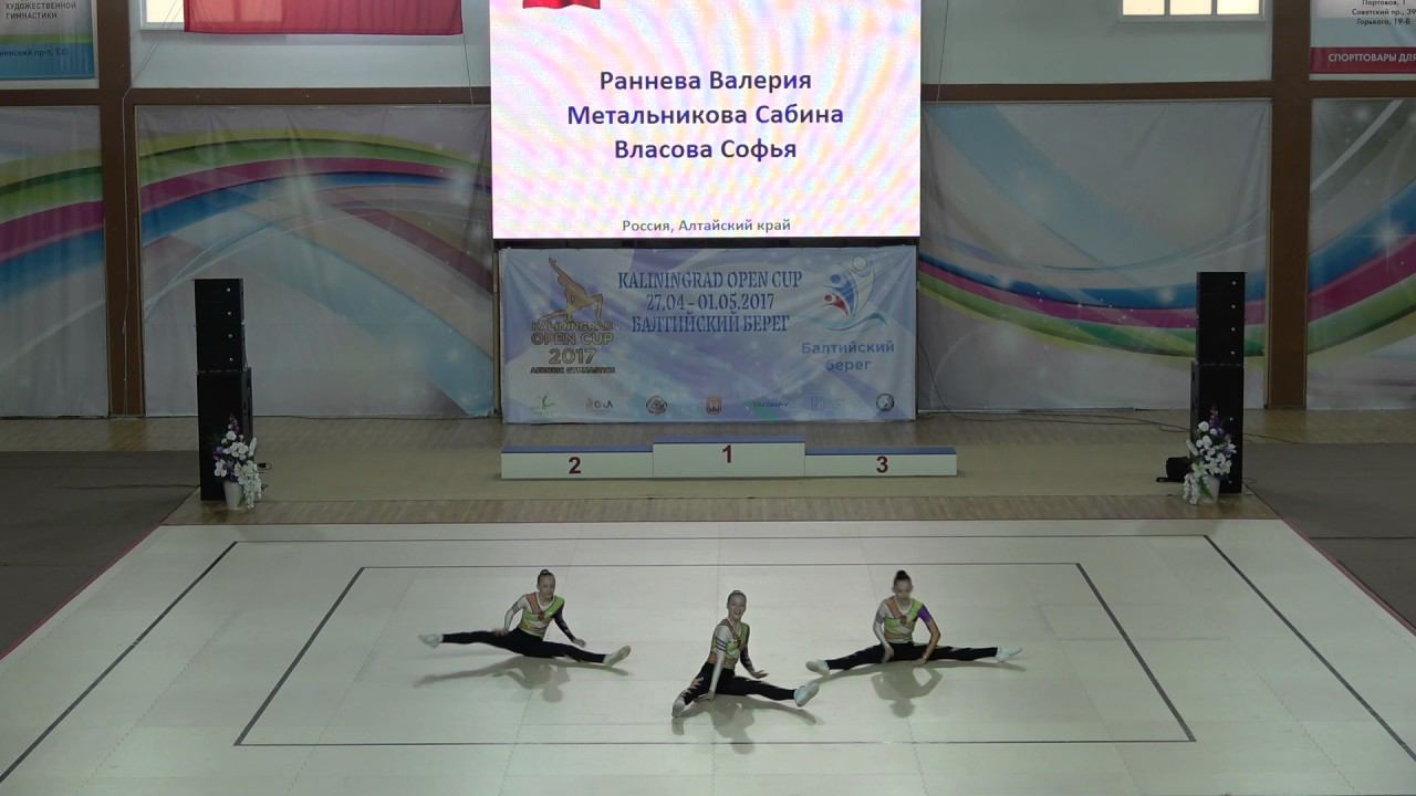 AEROBYC GYMNASTICS (AG1 TR)