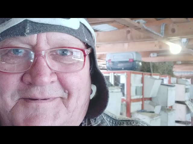 ?Кролиководство.  в прямом эфире Макляк Макрол.mp4