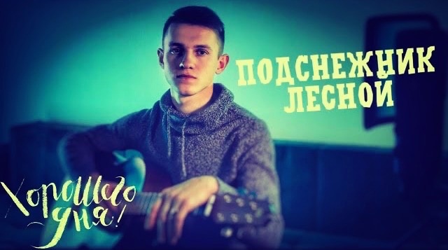Шли по лесу парень с девчонкой (Подснежник лесной #Cover by Igor Gurskiy)