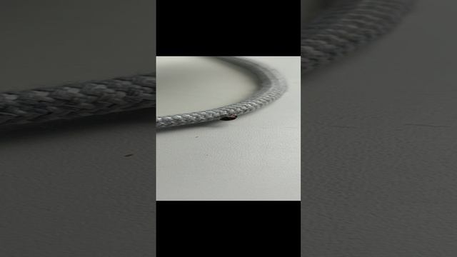 Коровка от БАЖЕНИ.mp4