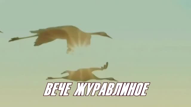 Вече журавлиное. Наталья Первина -музыка, Любовь Чернышова -стихи, Лариса Кравец -вокал