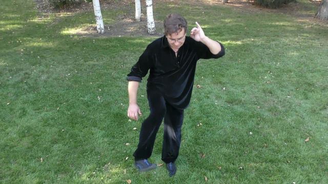 10 Таолу стиля Орлан и барс удары ногами средней дистанции вид сверху