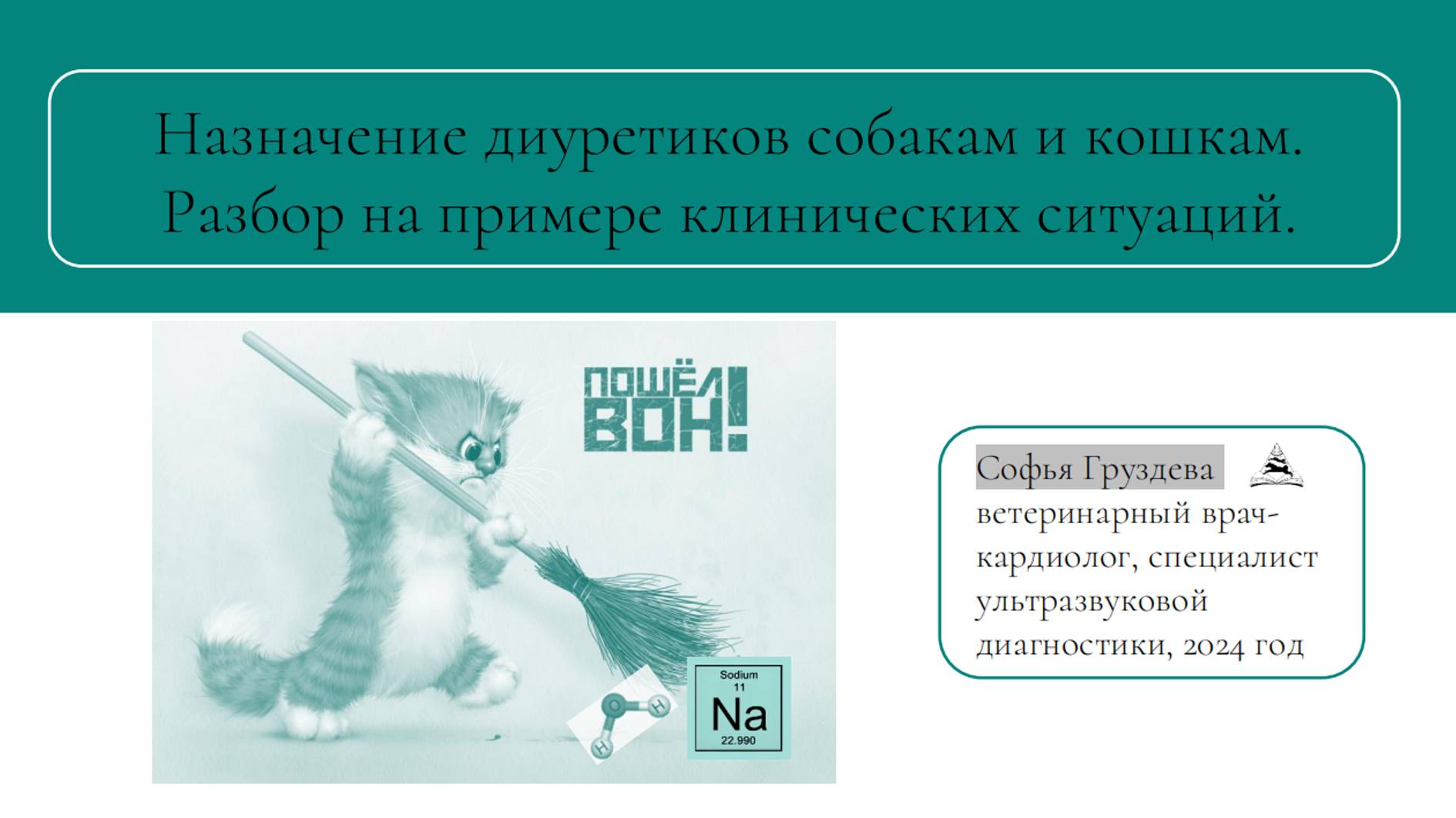 Диуретики собакам и кошкам: что важно знать? |Какие диуретики лишь ухудшат состояние кардиопациента?