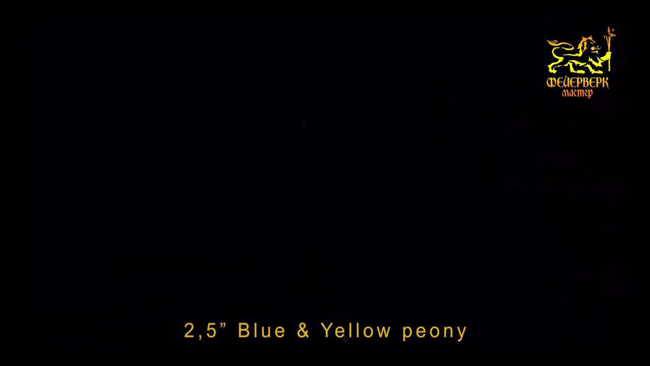 2,5" Blue & Yellow peony