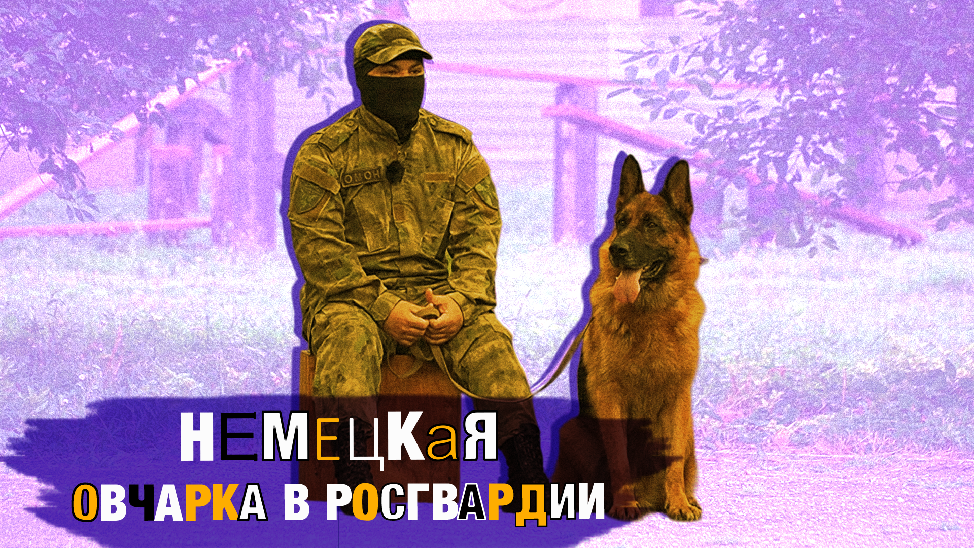 Собака РОСГВАРДИИ