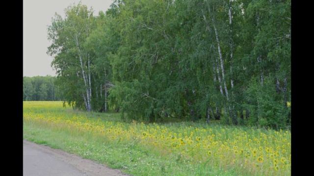 Посёлок мой.