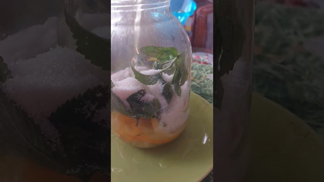 Апельсиновый махито. Shorts