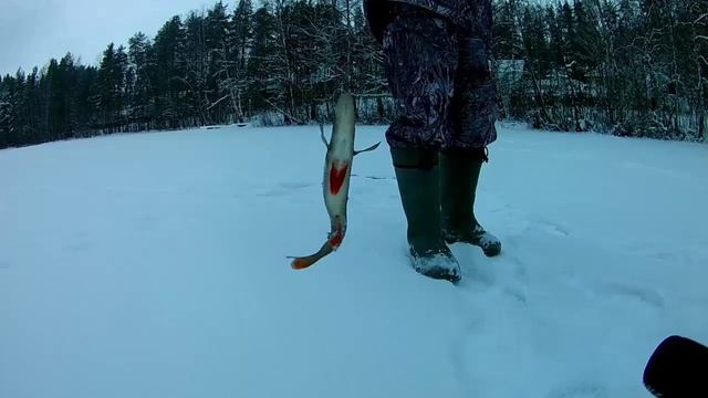 Блесна " НАЯДА". Игра и рыбалка.