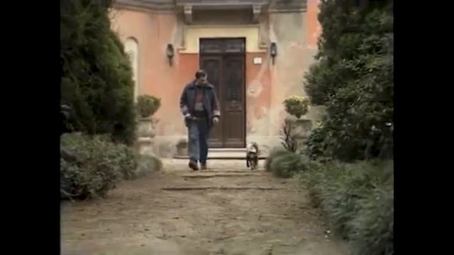 Фильм. Бретонский спаниель. Собаки от А до Я. [2002г., Италия].mp4