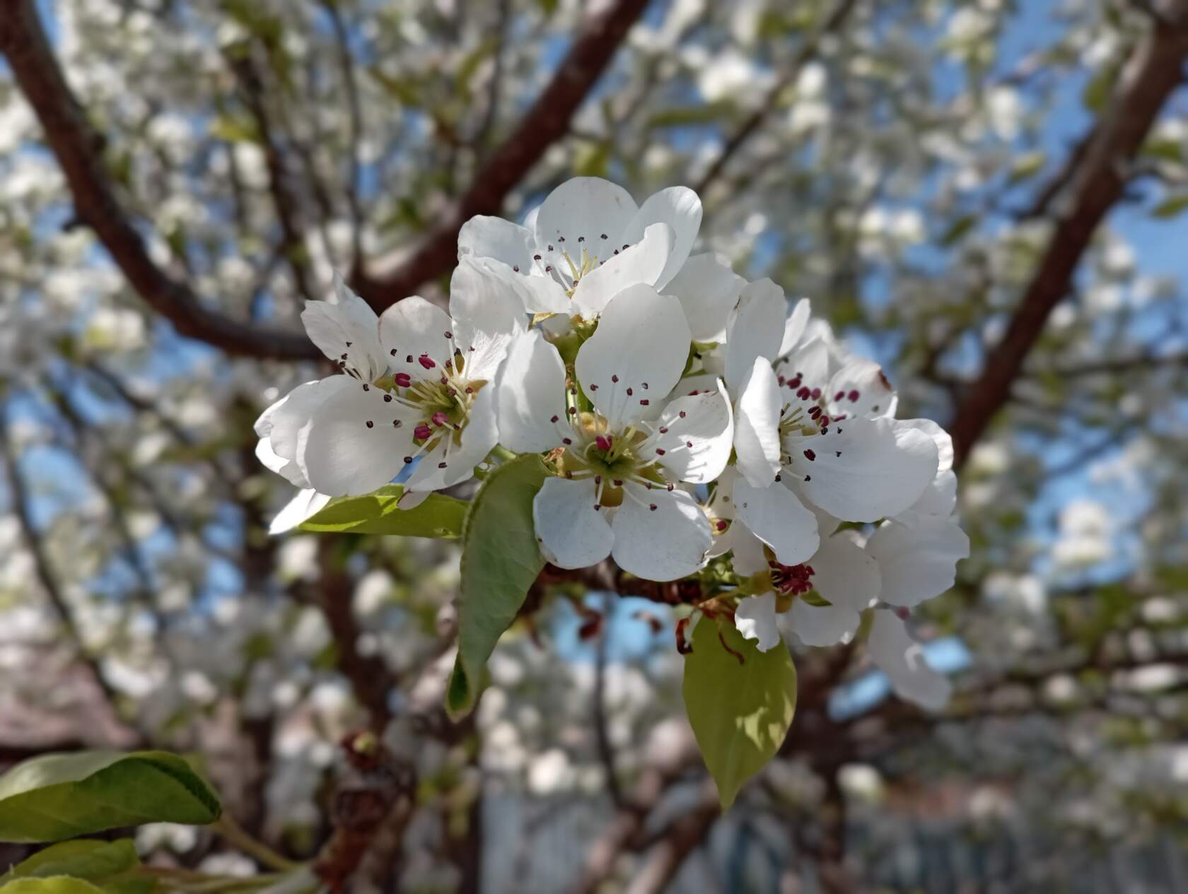 Я тебя любимая здесь жду