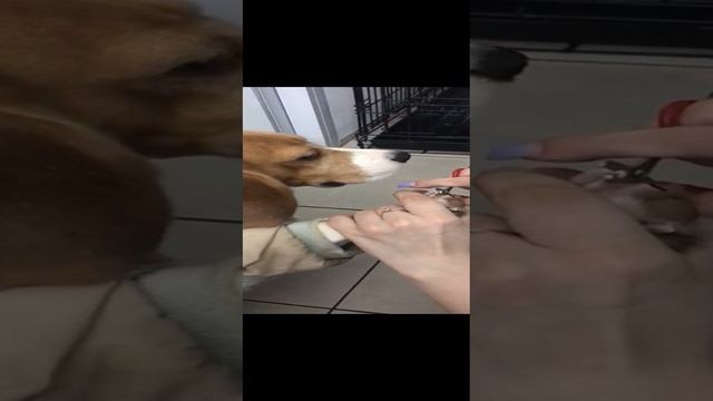 Божечки☺️ Вы ВИДЕЛИ ЭТИ ГЛАЗА!?