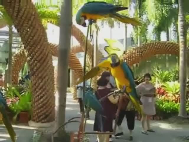 Невероятная красота в парке Нонг Нуч в Таиланде