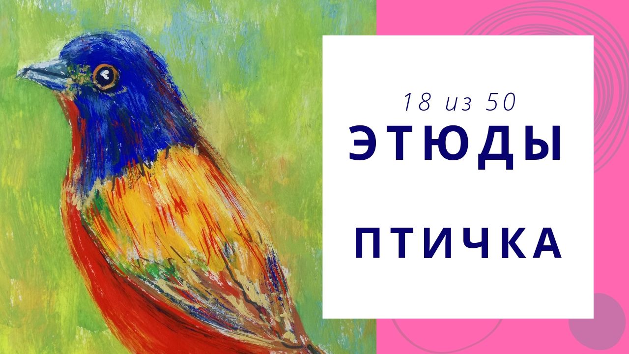 18. Как нарисовать птичку гуашью. Серия видео «50 этюдов»