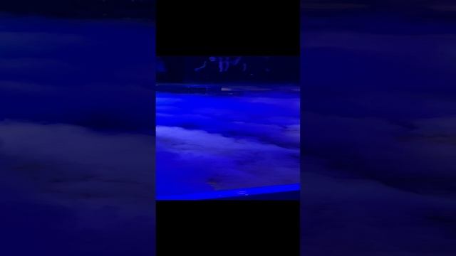 Акция студенчества.
Генератор тяжелого дыма Геленджик, Ялта Крым