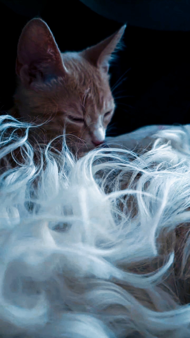 Шанти-6 месяцев