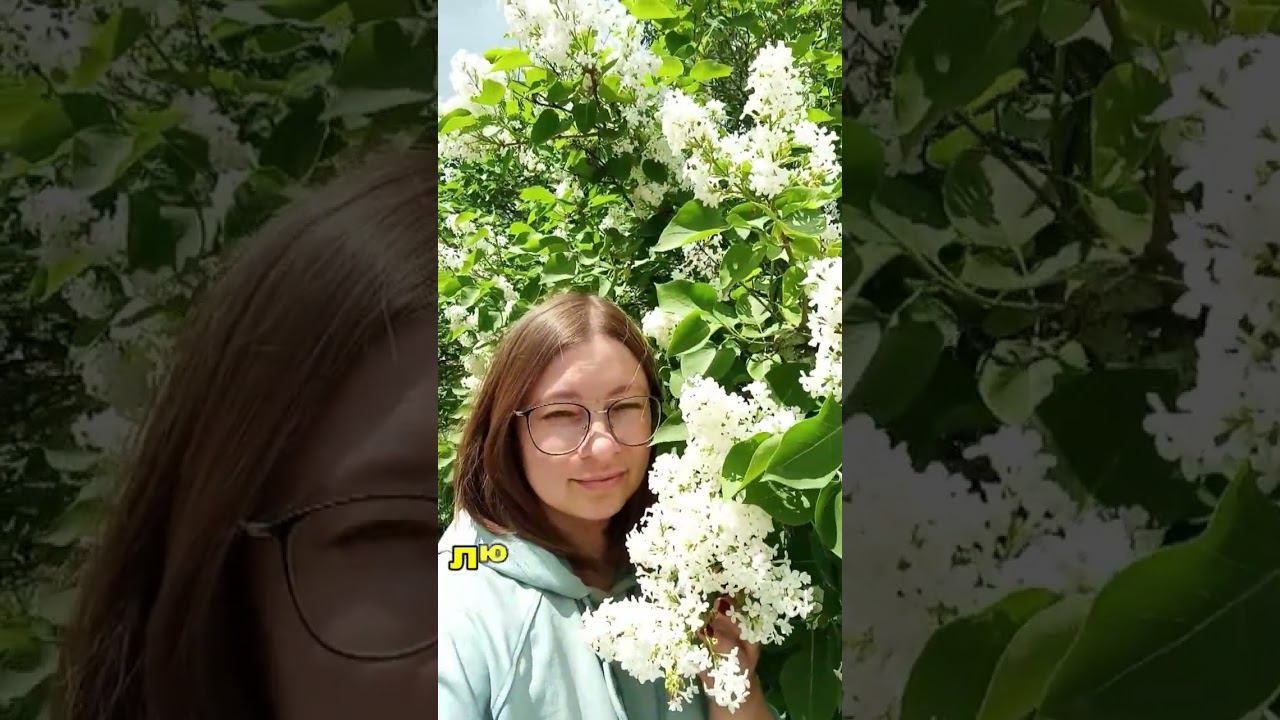 Весна 2023 года.