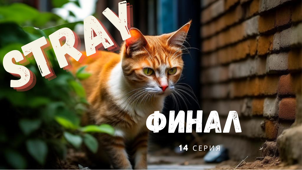 Stray: #14 Финал -- Stray: #14 The Final Episode