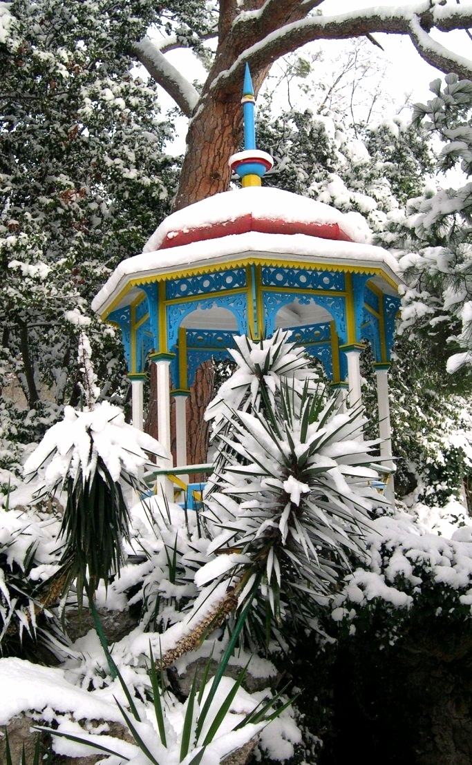 ❄️ С добрым зимним утром!