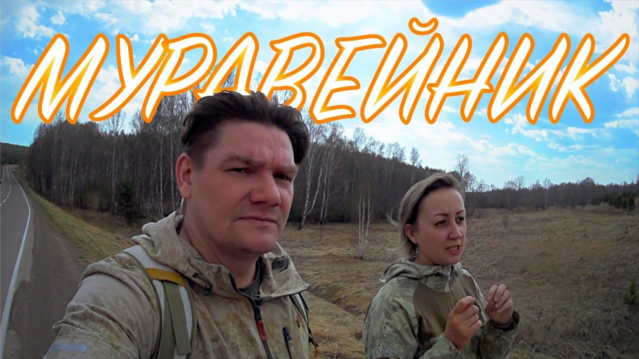 Мы искали МУРАВЬЕВ, но муравьи НАШЛИ нас.