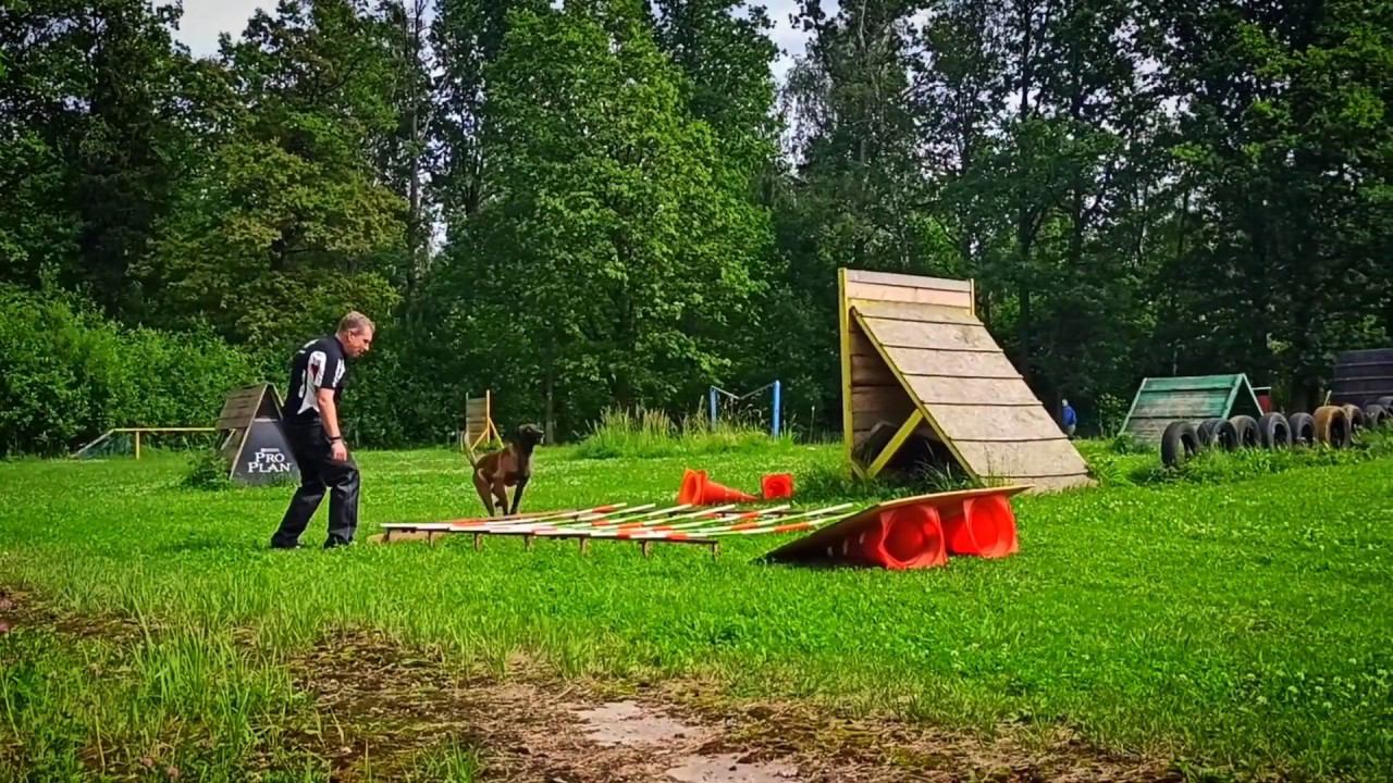 Прыжок в длину