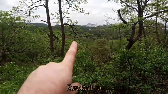 запретная зона в Мумбае