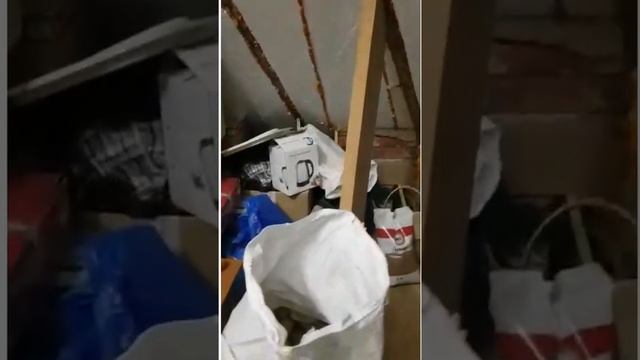 Самый ТОМАТНЫЙ выпуск