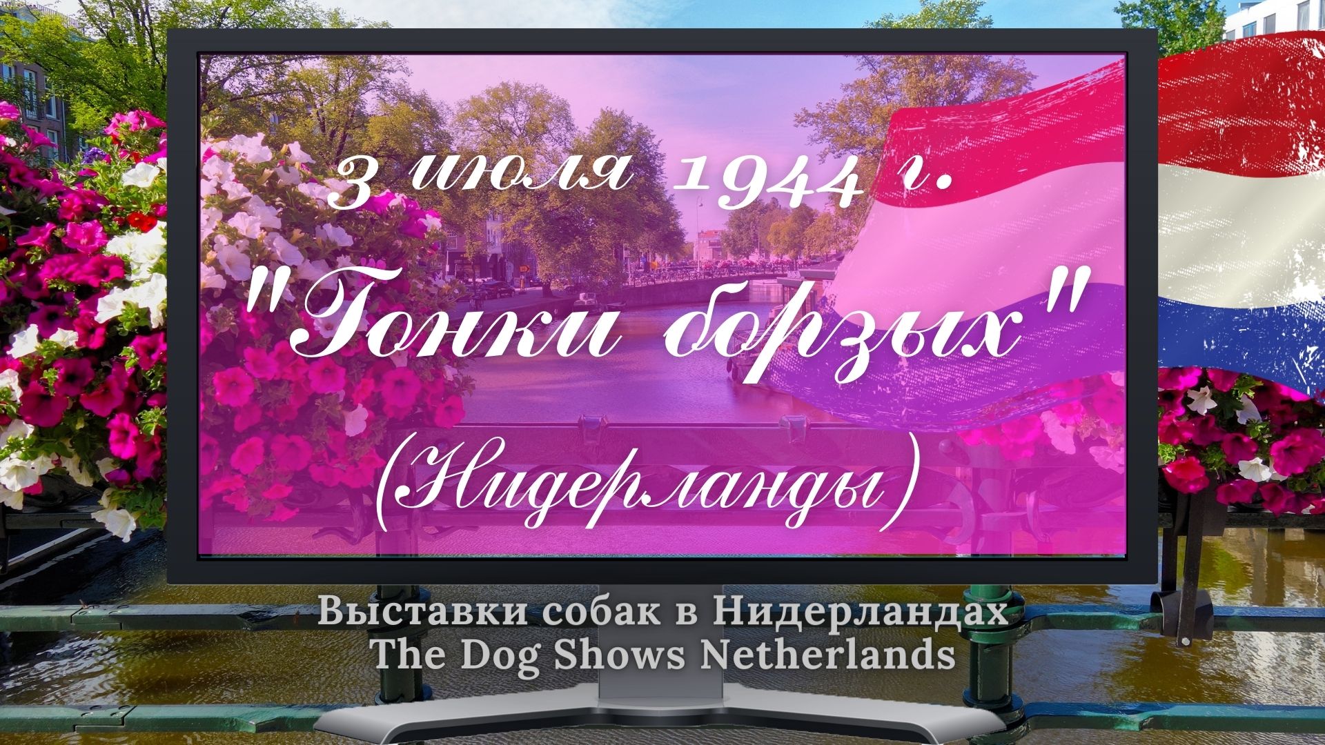 3 июля 1944г.-Гонки борзых (Нидерланды)