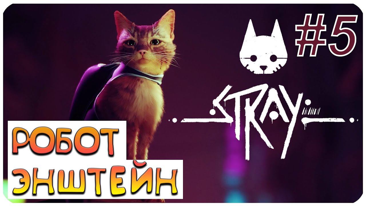 Stray ▶ РОБОТ ЭНШТЕЙН #5