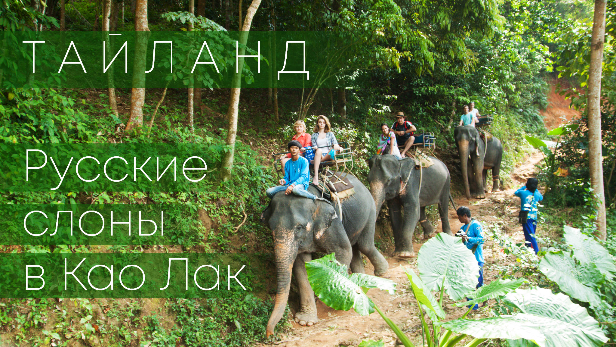 Таких веселых Тайских слонов вы еще не видели!