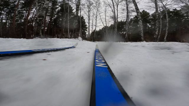 На лыжах №4. Когда погода издевается.