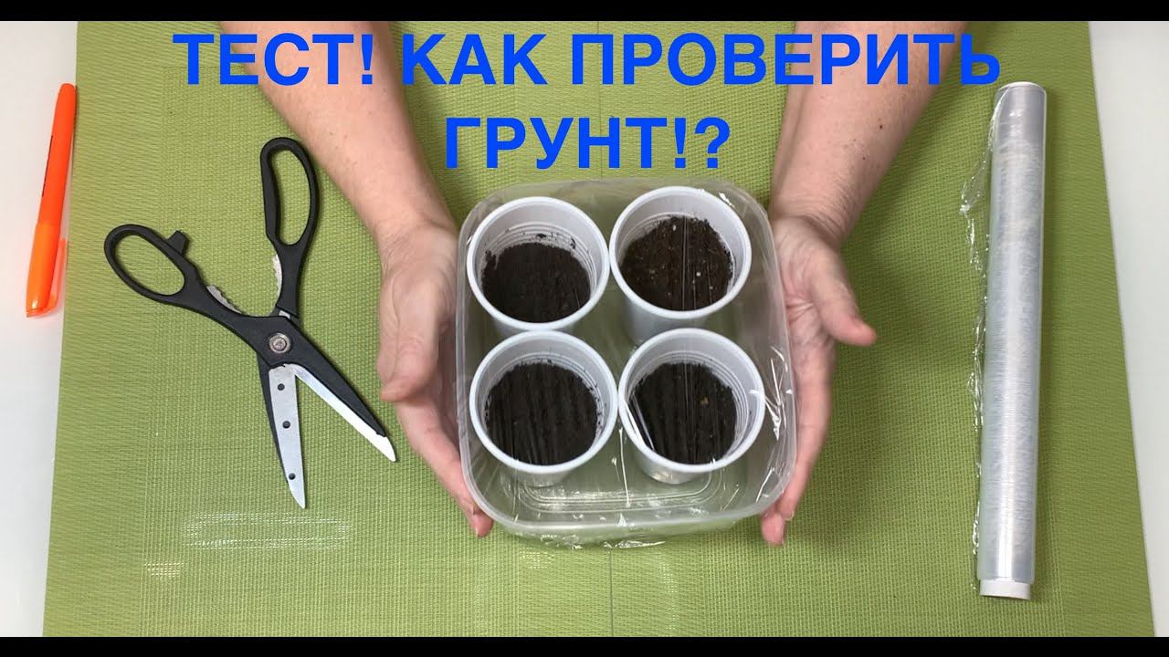КАК ВЫБРАТЬ ГРУНТ ДЛЯ РАССАДЫ!? ЭКСПЕРИМЕНТ. САЖАЕМ ОГУРЦЫ. УРОЖАЙ 2021