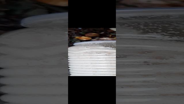 да что ж такое! #5