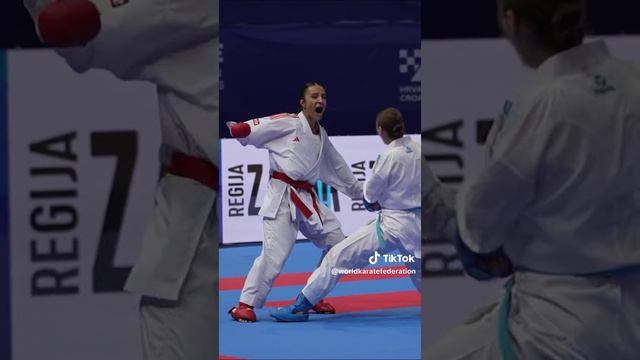 7e6a9e52eaeb78db1f306fcb53b37ee5