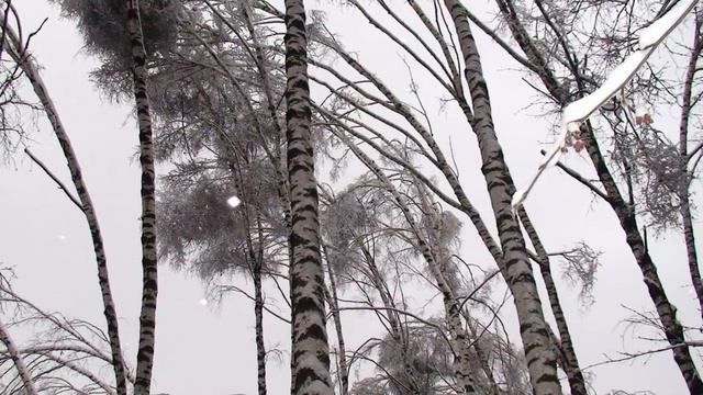 Давай лыжню.mp4