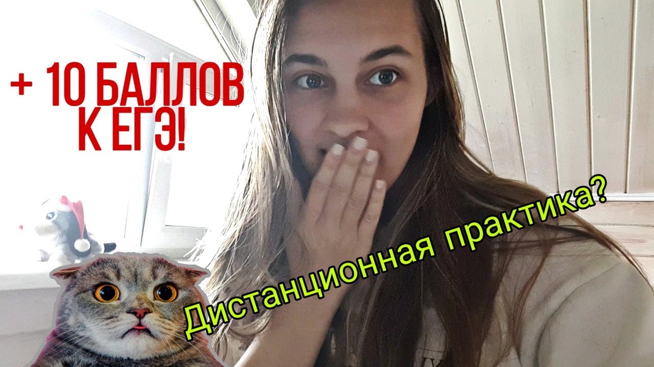 Лёгкие баллы ЕГЭ. Сдаю предпрофессиональный экзамен | Как провести практику онлайн