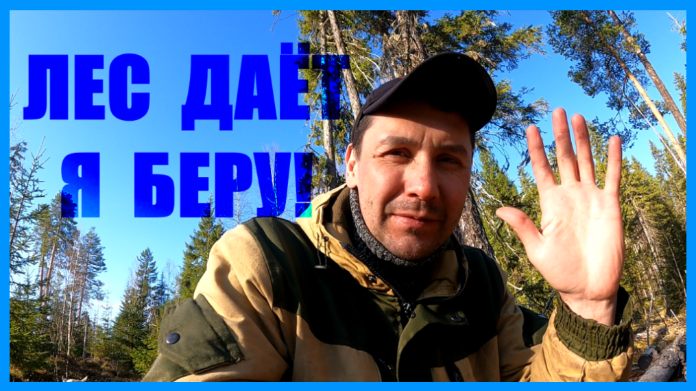 ЛЕС ДАЁТ-Я БЕРУ! Вытаскиваем металл из болота. Находим еще больше металла!